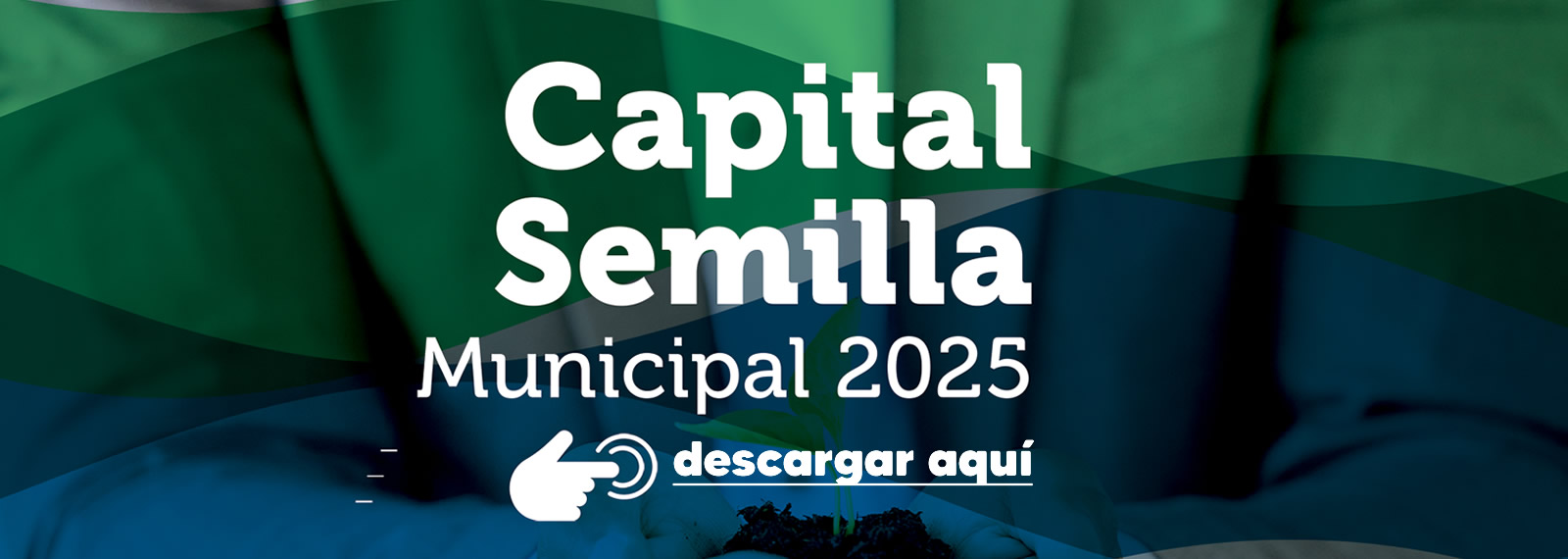 Municipalidad de Chiguayante